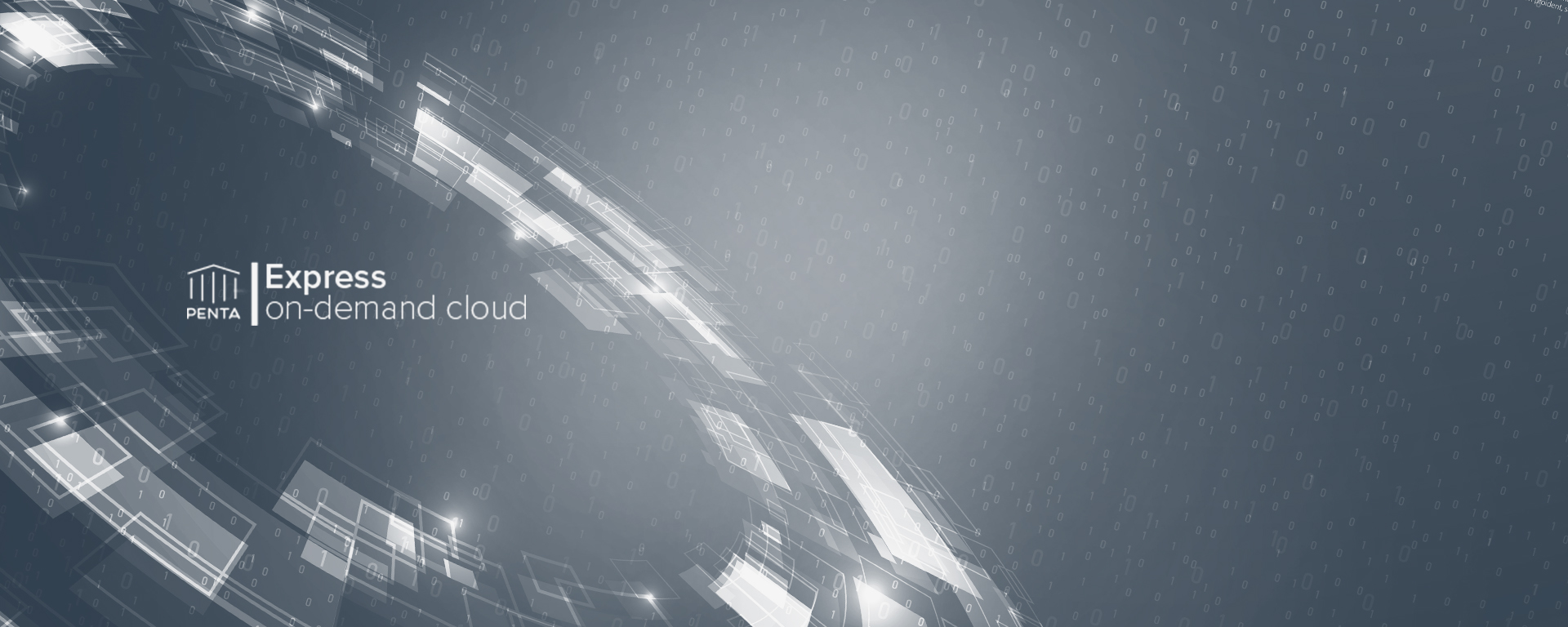 Penta Express on-demand cloud launched | Penta IT Services